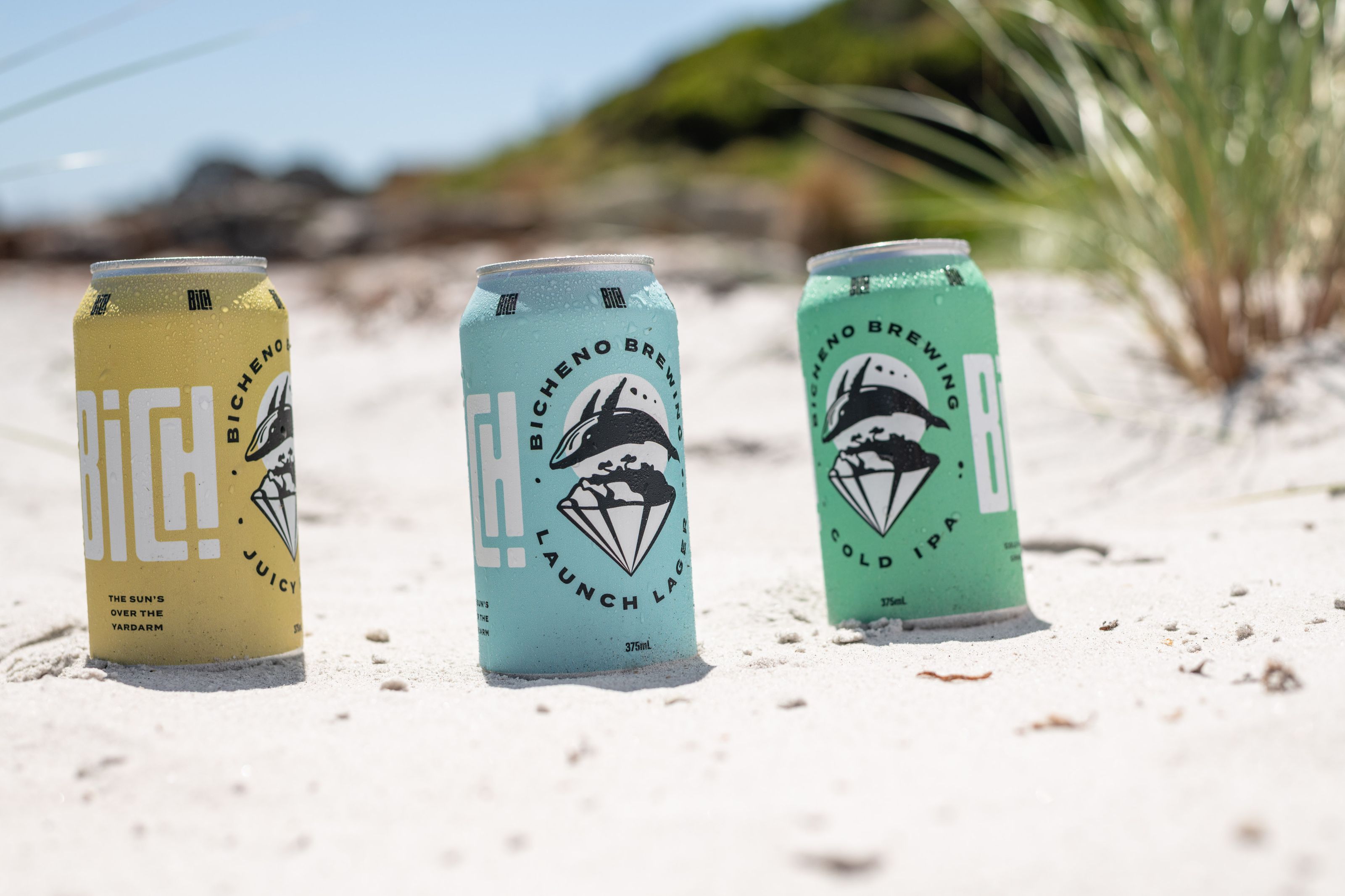 BICH: What to do in Bicheno - Bicheno, Tasmania